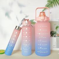 China Kids 3 in 1 Water Bottle Set with Straw 2000ml 900ml 300ml PC PP ABS Silicone for sale