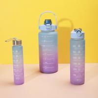 China 2000ml 900ml 300ml 3 in 1 Custom Plastic Straw Bottle with Time Marker for Gym Sports for sale
