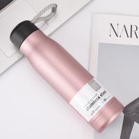 China Double Wall Insulated Stainless Steel Water Bottle 400ml 550ml for Outdoor Sports for sale