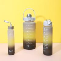 China 2000ml 900ml 300ml 3 in 1 Custom Plastic Straw Bottle with Time Marker for Gym Sports for sale