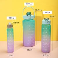 China 2000ml 900ml 300ml 3 in 1 Custom Plastic Straw Bottle with Time Marker for Gym Sports for sale