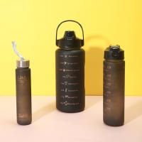 China 2000ml 900ml 300ml 3 in 1 Custom Plastic Straw Bottle with Time Marker for Gym Sports for sale