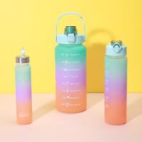 China 2000ml 900ml 300ml 3 in 1 Custom Plastic Straw Bottle with Time Marker for Gym Sports for sale