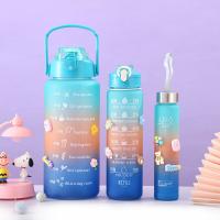 China Custom 3-in-1 Motivational Water Bottle Set 2000ml 900ml 500ml PE Plastic Outdoor Sports for sale