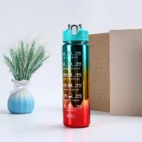 China 2000ml 900ml 300ml PE Water Bottle Set BPA Free Plastic Drinking Bottles with Straw for sale