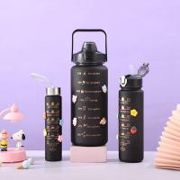 China Customized Logo 3-in-1 Plastic Water Bottle Set 250g 120g 63g 2000ml 900ml 300ml for sale