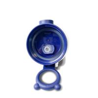 China Custom Plastic Kids Water Bottle 480ml 620ml Tritan Direct Drinking with Straw Cute Printing for sale