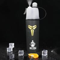 China Outdoor Sports Spray Bottle 600ml Insulated Plastic Cup Double Walled PC ABS for sale