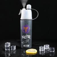 China Outdoor Sports Spray Bottle 600ml Insulated Plastic Cup Double Walled PC ABS for sale