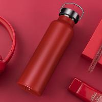 China Customized 304 Stainless Steel Insulated Water Bottle 500ml 600ml 750ml for Sports Travel for sale