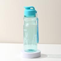 China 500ml Transparent PET Sports Water Bottle 22cm Height Custom Color for Outdoor Use for sale