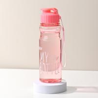 China 500ml Transparent PET Sports Water Bottle 22cm Height Custom Color for Outdoor Use for sale