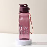 China 500ml Transparent PET Sports Water Bottle 22cm Height Custom Color for Outdoor Use for sale