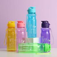 China 500ml PET Sports Water Bottle BPA Free Leakproof Cap Clear Custom Color 22cm for sale