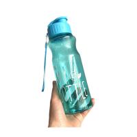 China 500ml PET Sports Water Bottle BPA Free Leakproof Cap Clear Custom Color 22cm for sale