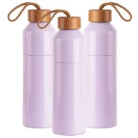 China 304 Stainless Steel Vacuum Flask 500ml Custom Logo Double Wall Insulated Water Bottle for Travel Sports for sale