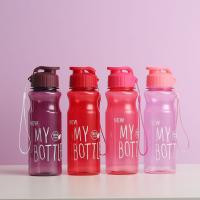 China 500ml BPA Free Sports Plastic Drinking Bottle Matte Finish Outdoor Gym Cup for sale