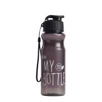 China 500ml BPA Free Sports Plastic Drinking Bottle Matte Finish Outdoor Gym Cup for sale