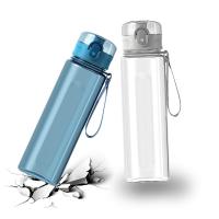 China Gradient Sublimation Frosted Tritan Water Bottle 500ml with Plastic Lid for Travel for sale