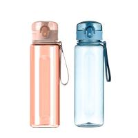 China Gradient Sublimation Frosted Tritan Water Bottle 500ml with Plastic Lid for Travel for sale