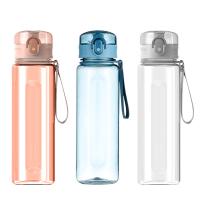 China Gradient Sublimation Frosted Tritan Water Bottle 500ml with Plastic Lid for Travel for sale