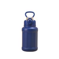 China 700ml Stainless Steel Vacuum Thermos Cup with Straw for Outdoor Sports Insulated Water Bottle for sale