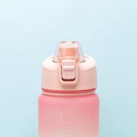 China Custom Logo 1000ml Insulated Water Bottle PP PC for Outdoor Gym Camping for sale