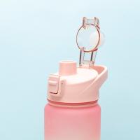 China Custom Logo 1000ml Insulated Water Bottle PP PC for Outdoor Gym Camping for sale
