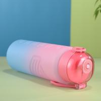 China BPA Free 1000ml Plastic Sport Water Bottle with Time Marker and Straw for Gym for sale