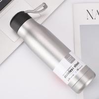 China Stainless Steel Double Wall Insulated Sports Water Bottle 400ml 550ml Custom Color for sale