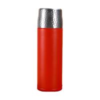 China 480ml 316 Stainless Steel Vacuum Insulated Water Bottle with Tea Filter 12-24hrs Hot Cold for sale