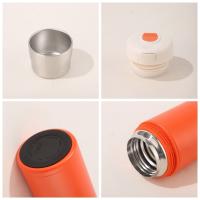 China 480ml 316 Stainless Steel Vacuum Insulated Water Bottle with Tea Filter 12-24hrs Hot Cold for sale