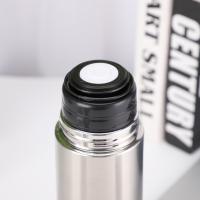 China 500ml Bullet Shape Double Wall Insulated Stainless Steel Vacuum Flask Mug for Hot and Cold Water for sale