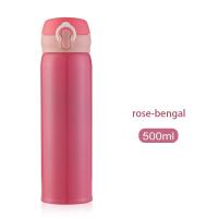China 500ml Stainless Steel Bouncing Vacuum Water Bottle with Solid Color and Sample Provided for sale