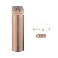 China Custom Stainless Steel Thermos 500ml Vacuum Insulated Double Wall Tumbler 304 for sale