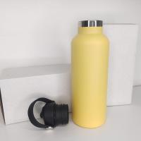 China Portable 650ml Stainless Steel Insulated Water Bottle 304 Vacuum Flask for Outdoor Sports Travel for sale