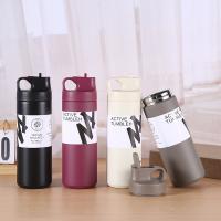 China Anti-Corrosion Coated 550ml Vacuum Insulated Stainless Steel Water Bottle with Double Handle Cover for sale