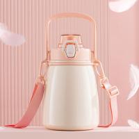 China 880ml 316 Stainless Steel Insulated Water Bottle with Flip Straw Lid Hot Cold 6-12hrs for sale