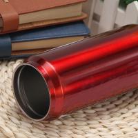 China Double Wall 201 Stainless Steel 500ml 350ml Cola Can Tumbler with Straw Custom Sublimation for sale