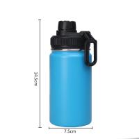 China 12oz 304 Stainless Steel Insulated Water Bottle with Handle Sports Vacuum Flask for sale