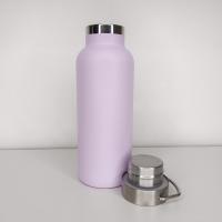China 304 Stainless Steel Double Wall Insulated Water Bottle 500ml PP Food Grade Lid for Camping Travel for sale