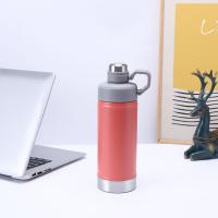 China 750ml Stainless Steel Vacuum Cup Sport Water Bottle Double Handle Travel Flask 304 for sale