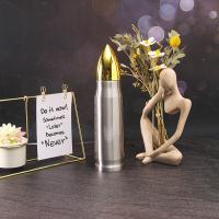 China 304 Stainless Steel 500ml Bullet Double Wall Vacuum Flask for Outdoor Hiking Camping for sale