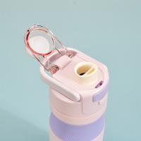 China 580ml 316 Stainless Steel Vacuum Insulated Water Bottle with Straw for Gym Outdoor for sale