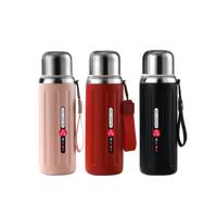 China Custom Logo 600ml 800ml Stainless Steel Insulated Water Bottle 316 Steel OEM ODM for sale