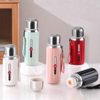 China Custom Logo 600ml 800ml Stainless Steel Insulated Water Bottle 316 Steel OEM ODM for sale