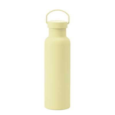China Stainless Steel Insulated Water Bottle 600ml with Handle Eco Friendly Classic Design for sale