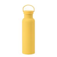 China Custom Stainless Steel Vacuum Insulated Water Bottle 600ml for Outdoor Hiking for sale