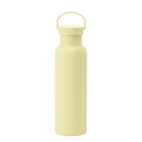 China Custom Stainless Steel Vacuum Insulated Water Bottle 600ml for Outdoor Hiking for sale
