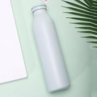 China Custom Stainless Steel Insulated Milk Bottle 350ml 450ml 600ml for Camping Outdoor for sale